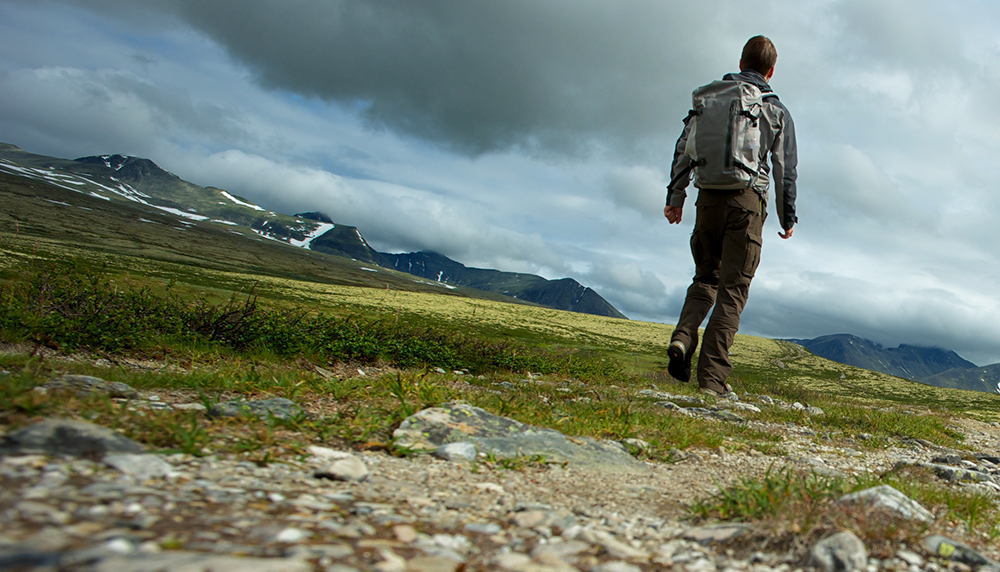 Even Bariatric Surgeons Can Get Off Track : ObesityHelp