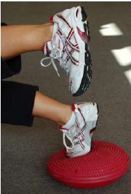 Fitness Basics - The Push Up