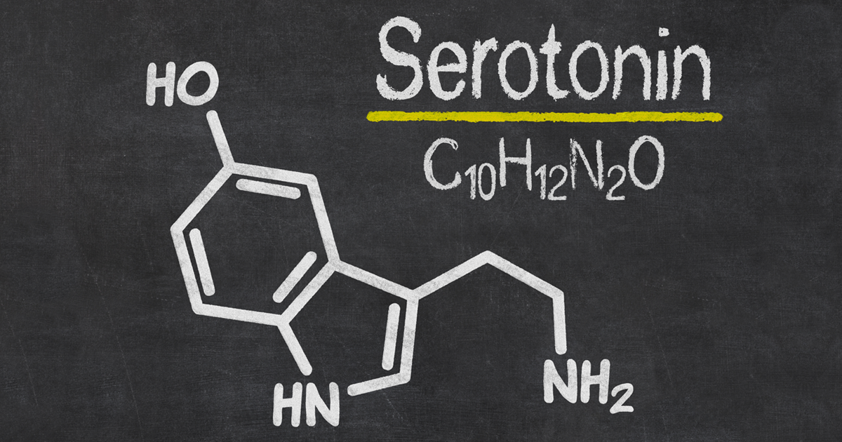 What Is Serotonin, How It Helps With Weight Loss & How To Increase It ...