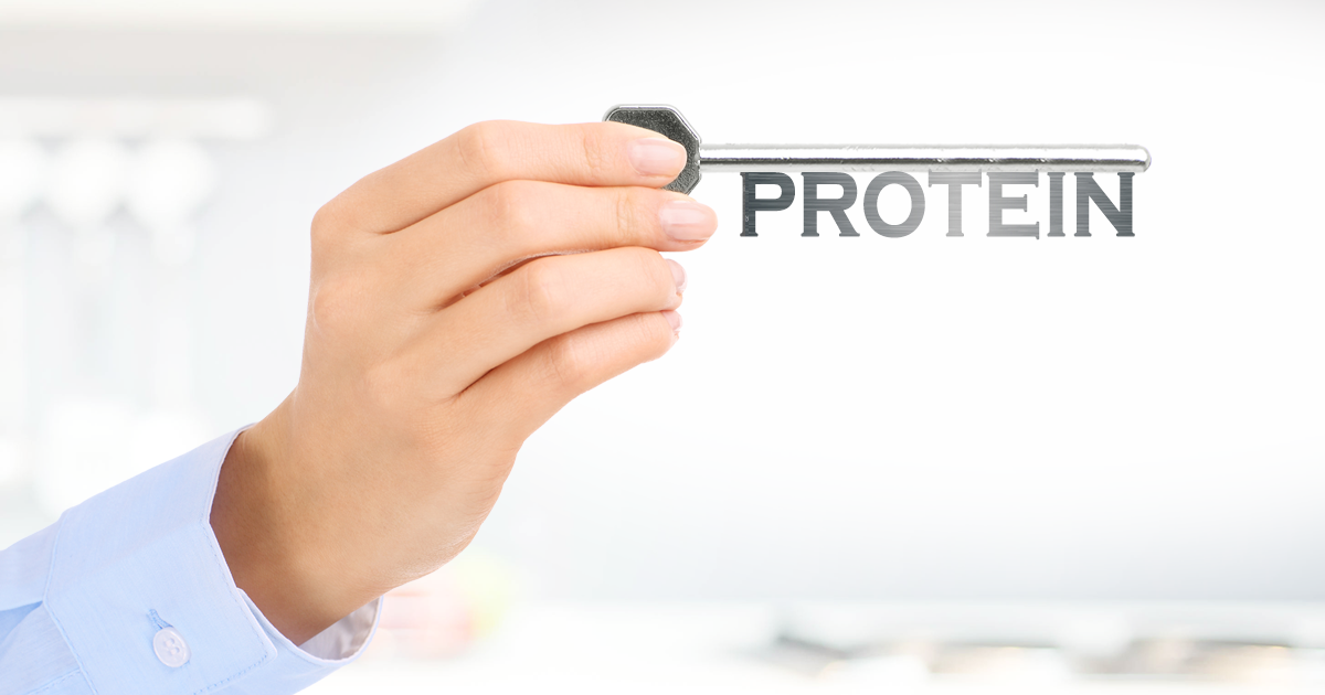 Is Protein the Key to Preventing Weight Regain? : ObesityHelp